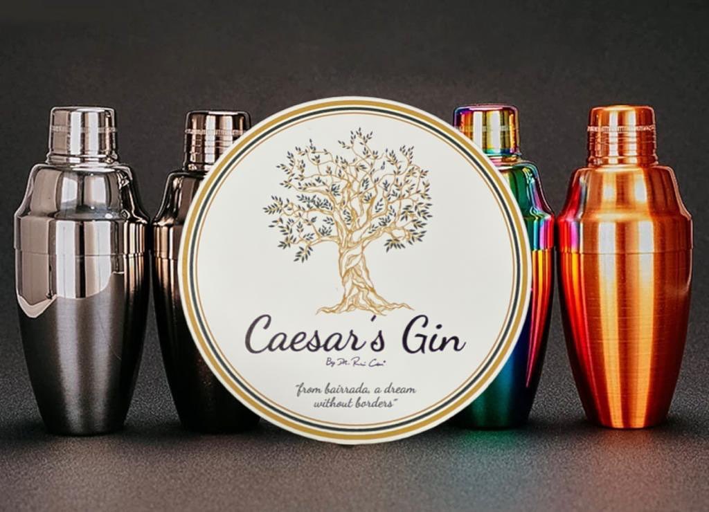 Médico dentista da Mealhada cria gin inovador feito à base de rama de ...