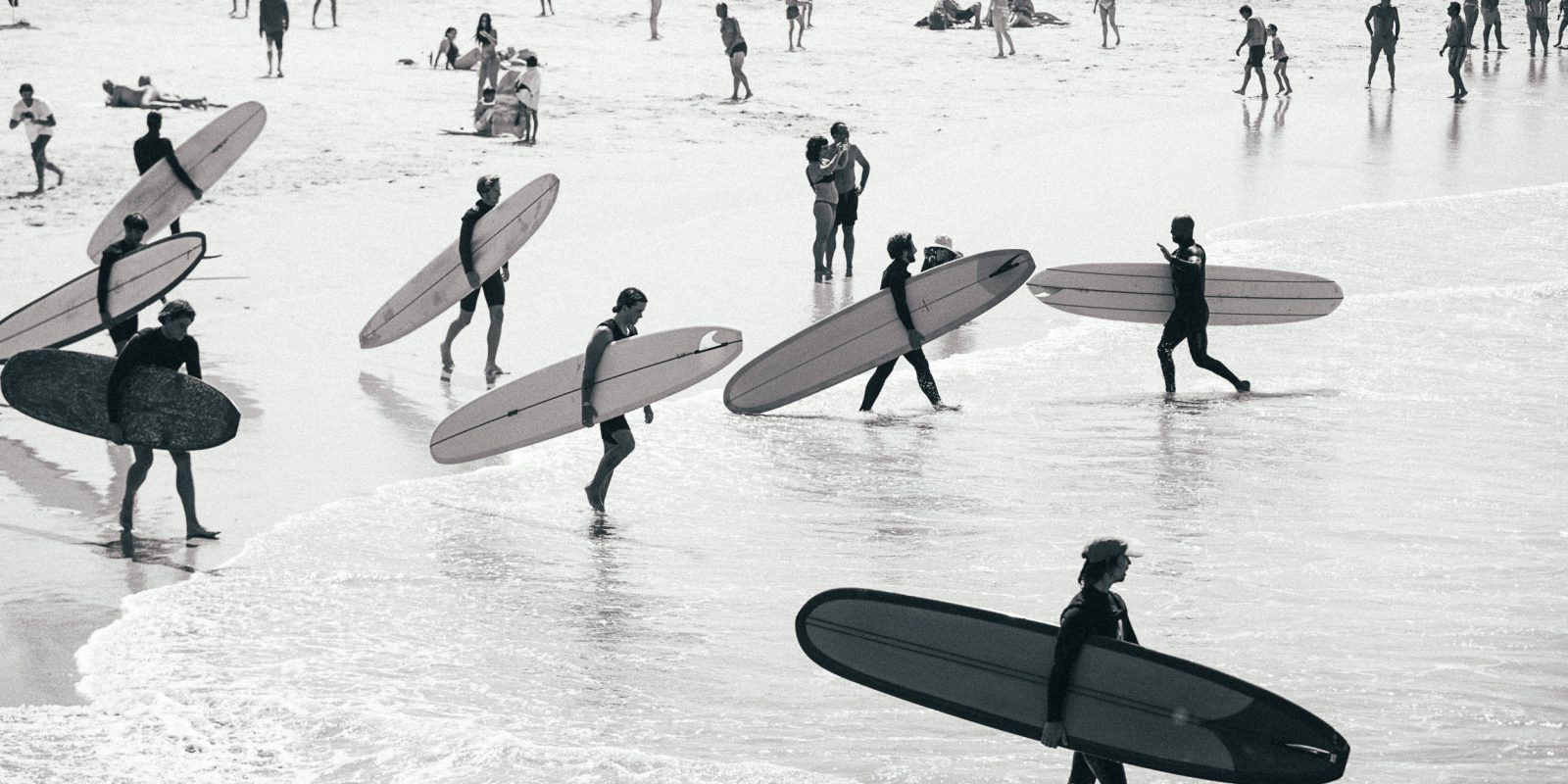 Gliding Barnacles transforma Figueira da Foz num ponto internacional da ...