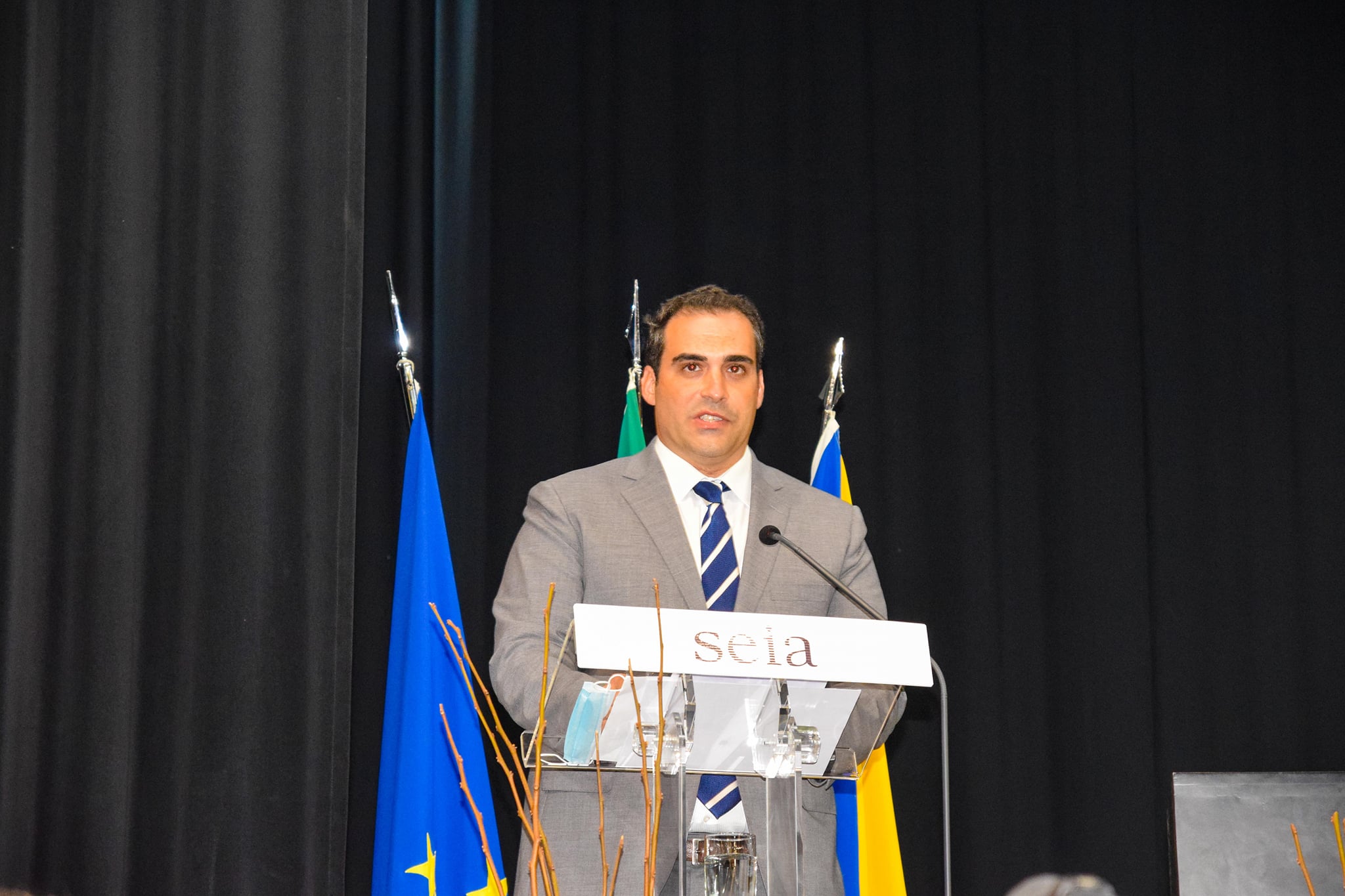 Incêndios: Seia espera que valor das medidas de apoio seja alargado em ...