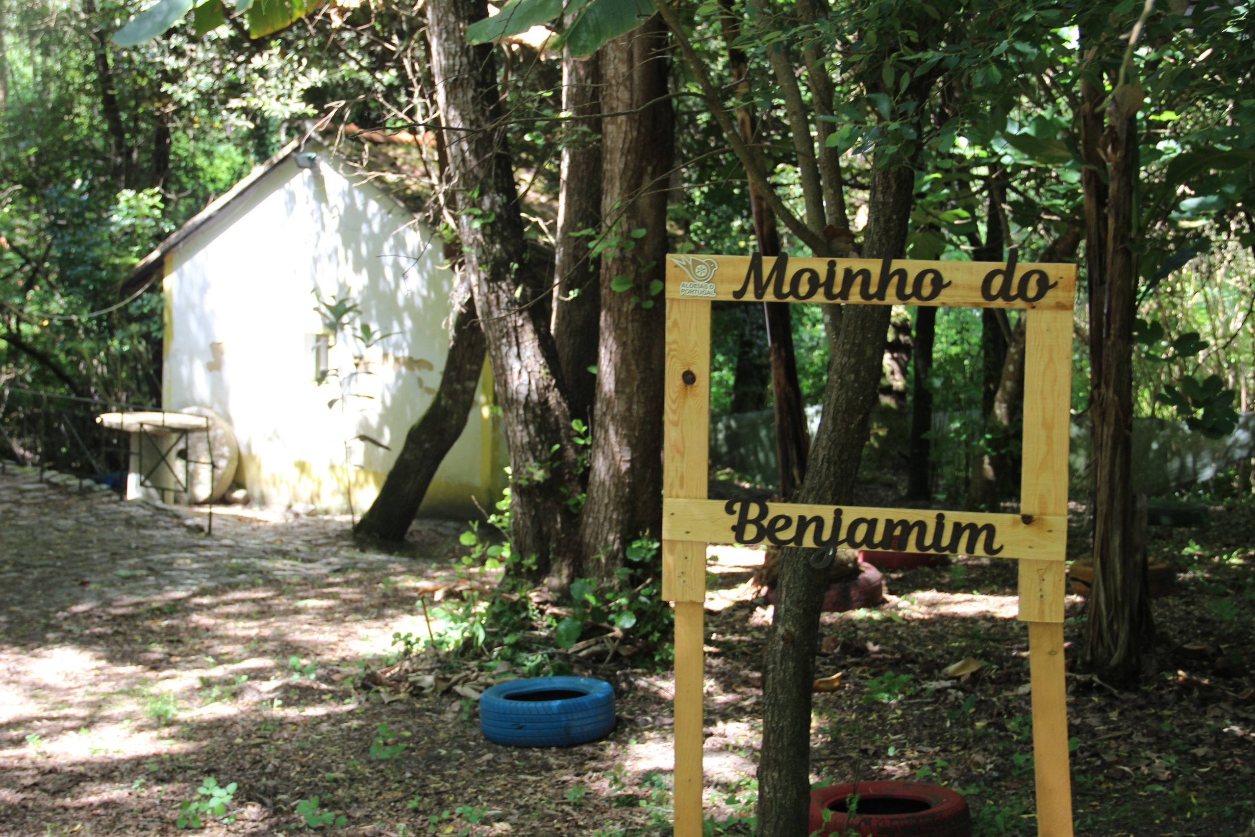 “Reviver a Aldeia do Boco” dá a conhecer tradições e gastronomia local ...