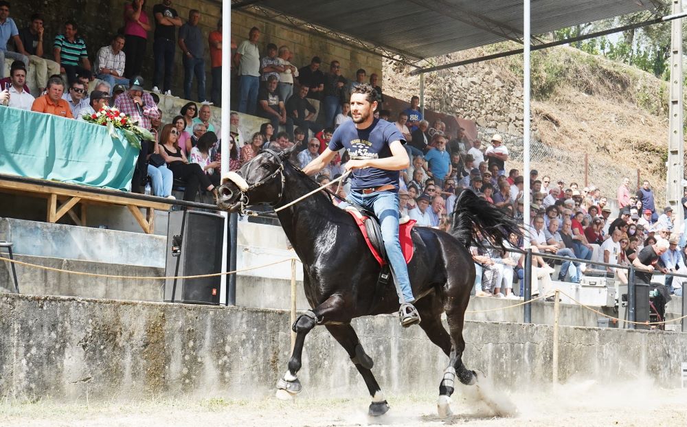 Lamego promove Corridas de Passo Travado - Notícias do Centro