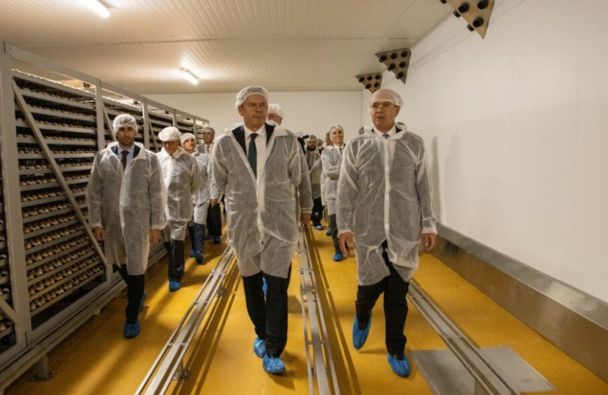 Grupo Lusiaves investe 66 milhões em novo centro de incubação de ovos ...