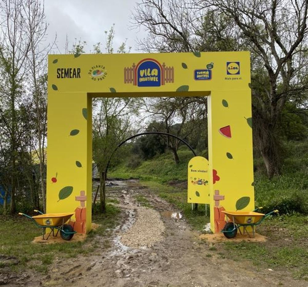 30 crianças da Guarda participam no programa Turma Imbatível do Lidl ...