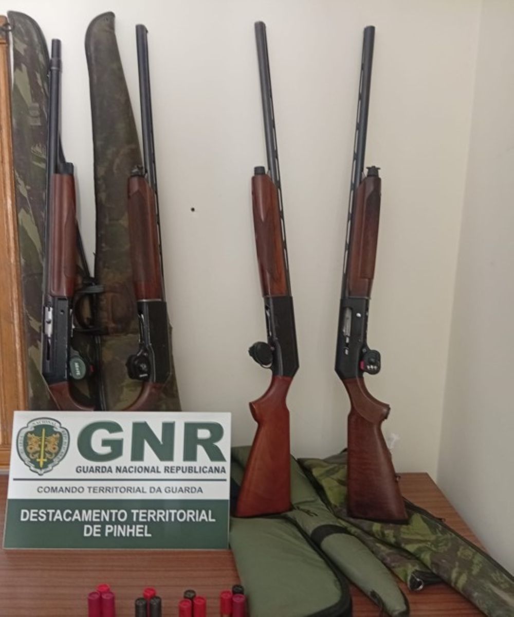 Vila Nova de Foz Côa: Quatro homens detidos por caça em área protegida ...